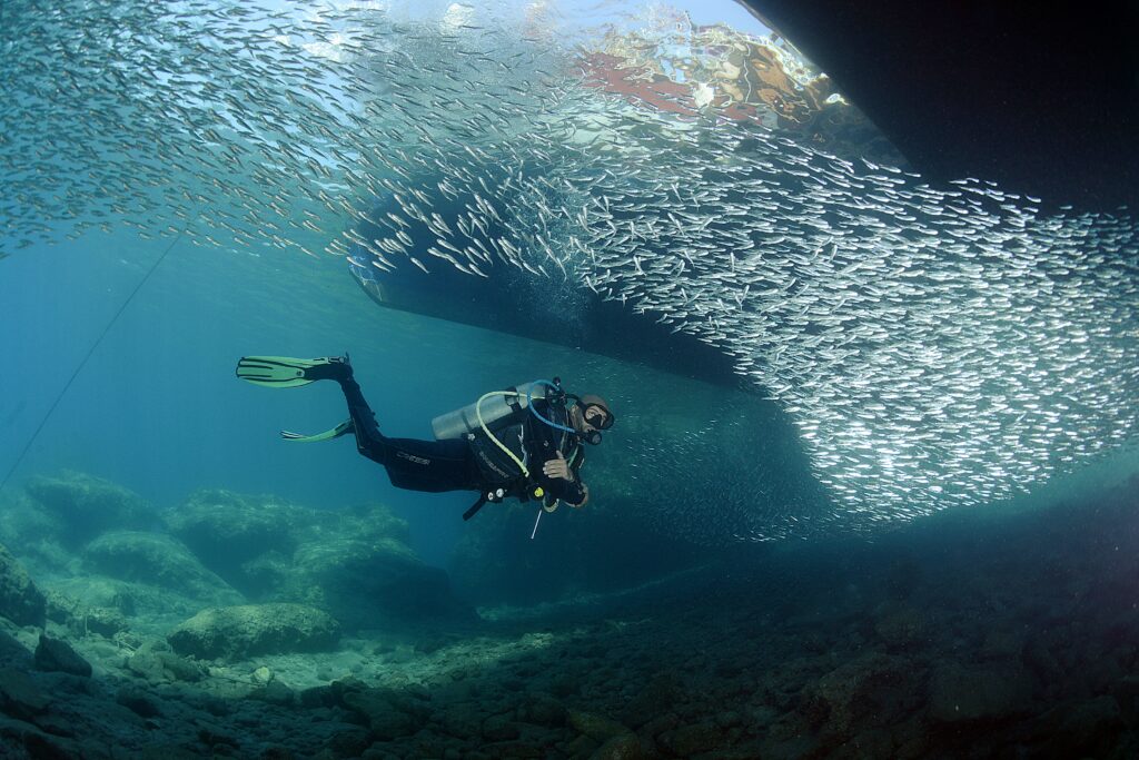 Try Dive in Fethiye - Fethiye Diving Centre